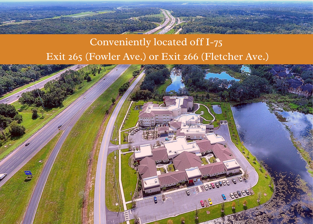 Home | Promise Pointe® at Tampa Oaks